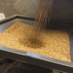 Malt processing system - CBS